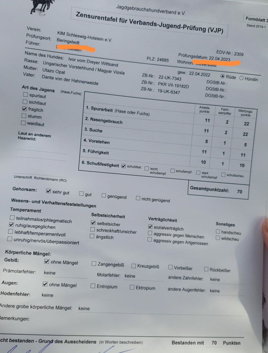 Racko (Ivor) besteht VJP – Vizsla Revier